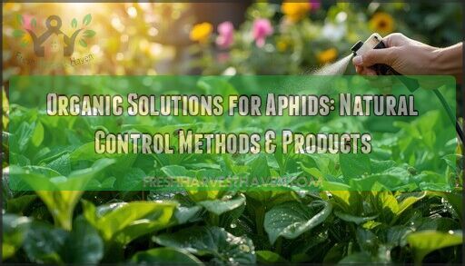 Homemade Solutions for Aphids: 6 DIY Sprays That Work Fast