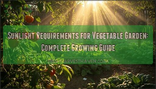 Sunlight Requirements for Vegetable Garden: Complete Growing Guide
