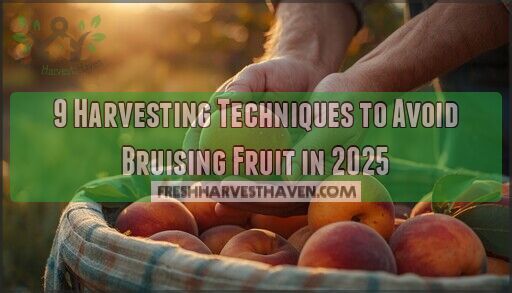 9 Harvesting Techniques to Avoid Bruising Fruit in 2025