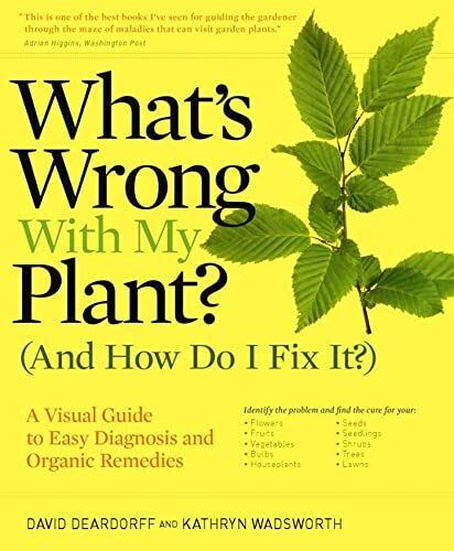 How to Identify Plant Diseases: Step-by-Step Diagnosis Guide