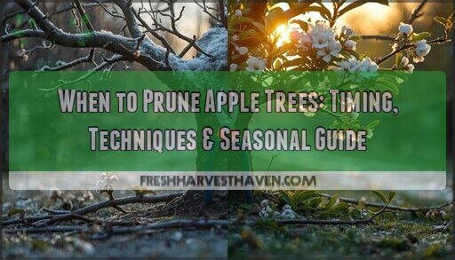 When to Prune Apple Trees: Timing, Techniques & Seasonal Guide