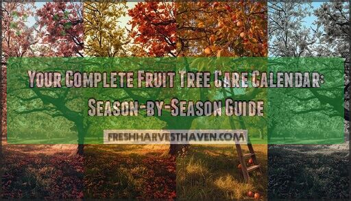 Your Complete Fruit Tree Care Calendar: Season-by-Season Guide